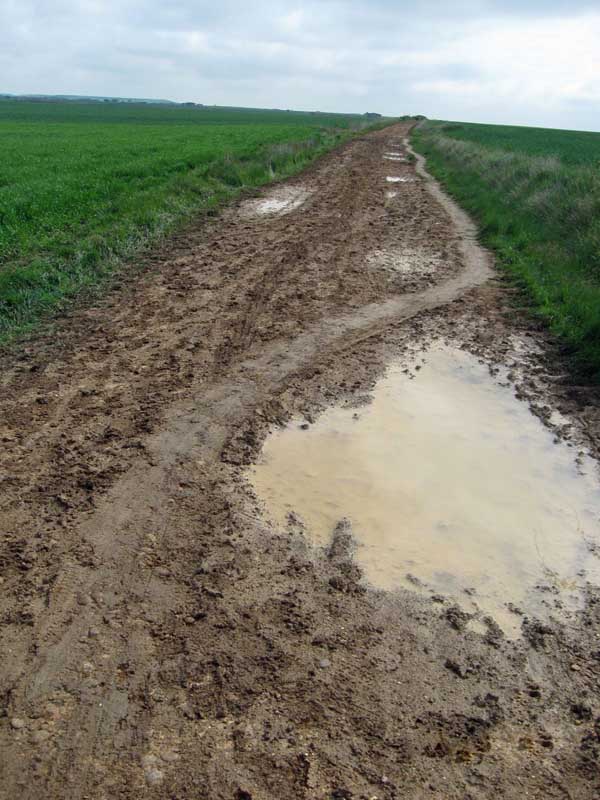Pilgrim's Progress by John F. Kerr: A Pilgrimage on the Camino de Santiago