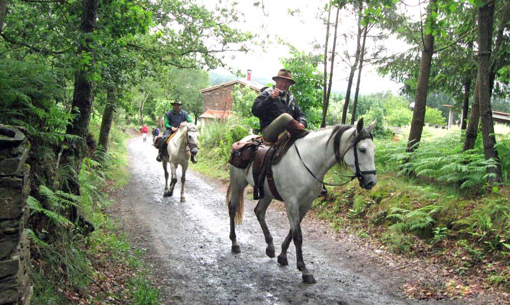 Pilgrim's Progress by John F. Kerr: A Pilgrimage on the Camino de Santiago